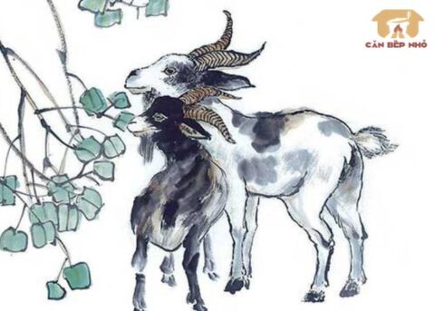 Lá Số Tử Vi Tân Mùi Năm 2024 Nữ Mạng: Vận Trình Gặp Nhiều May Mắn